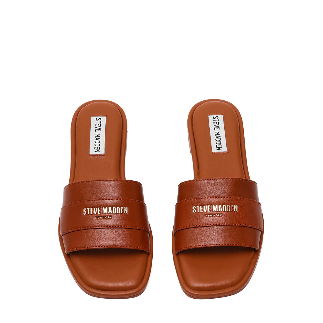 ASHTEN COGNAC LEATHER – Steve Madden South Africa